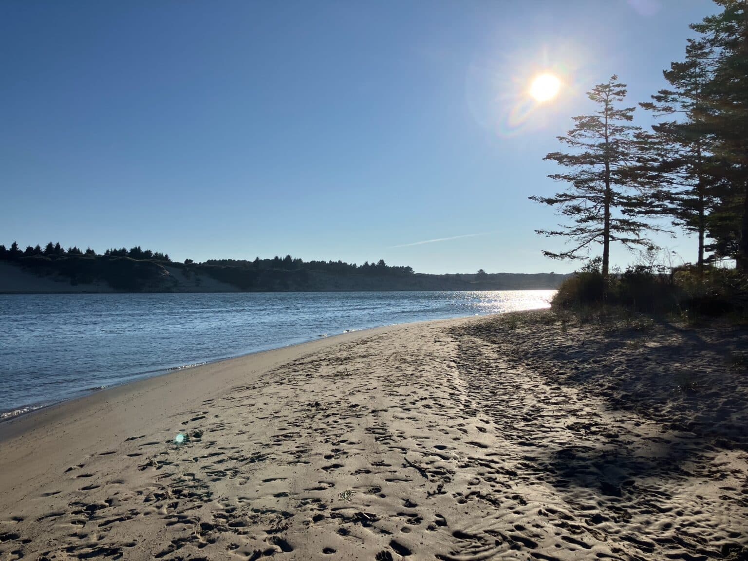 Coastal Thrills and Hidden Trails: Visiting Florence, Oregon ...