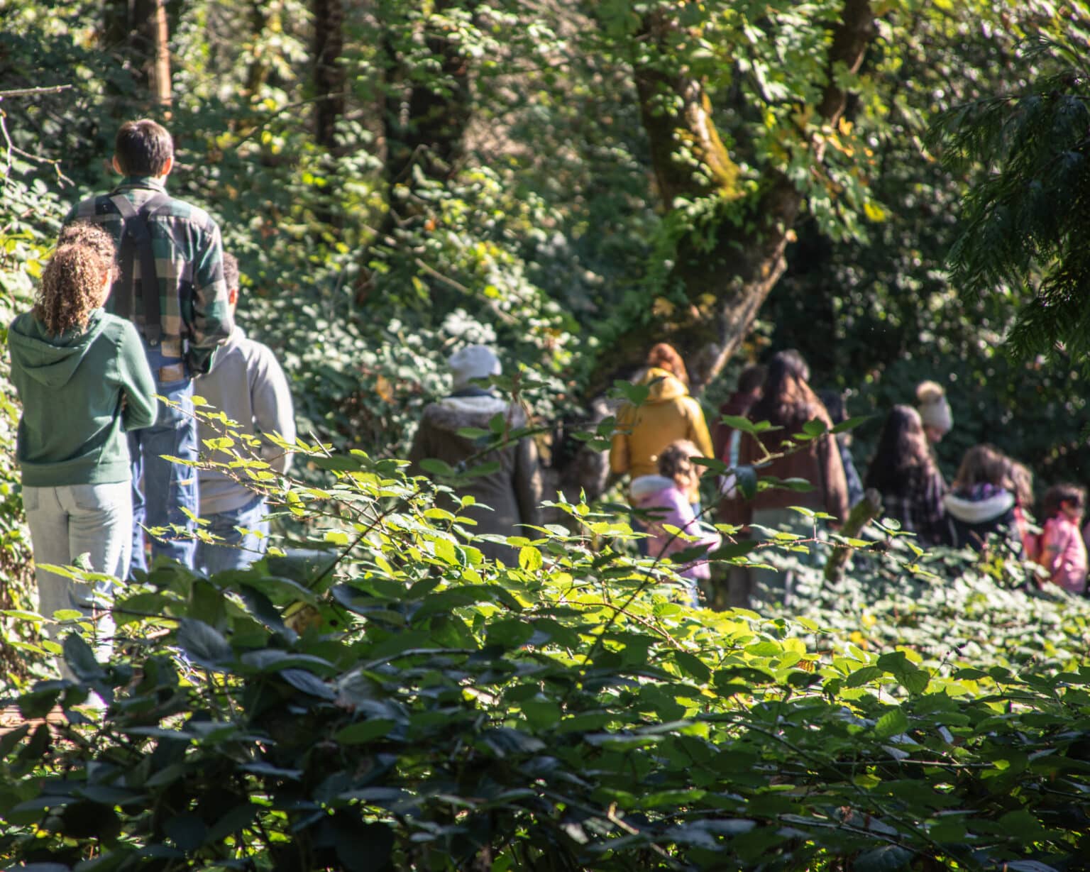 February Forest Walk at Columbia Springs | Vancouver Family Magazine